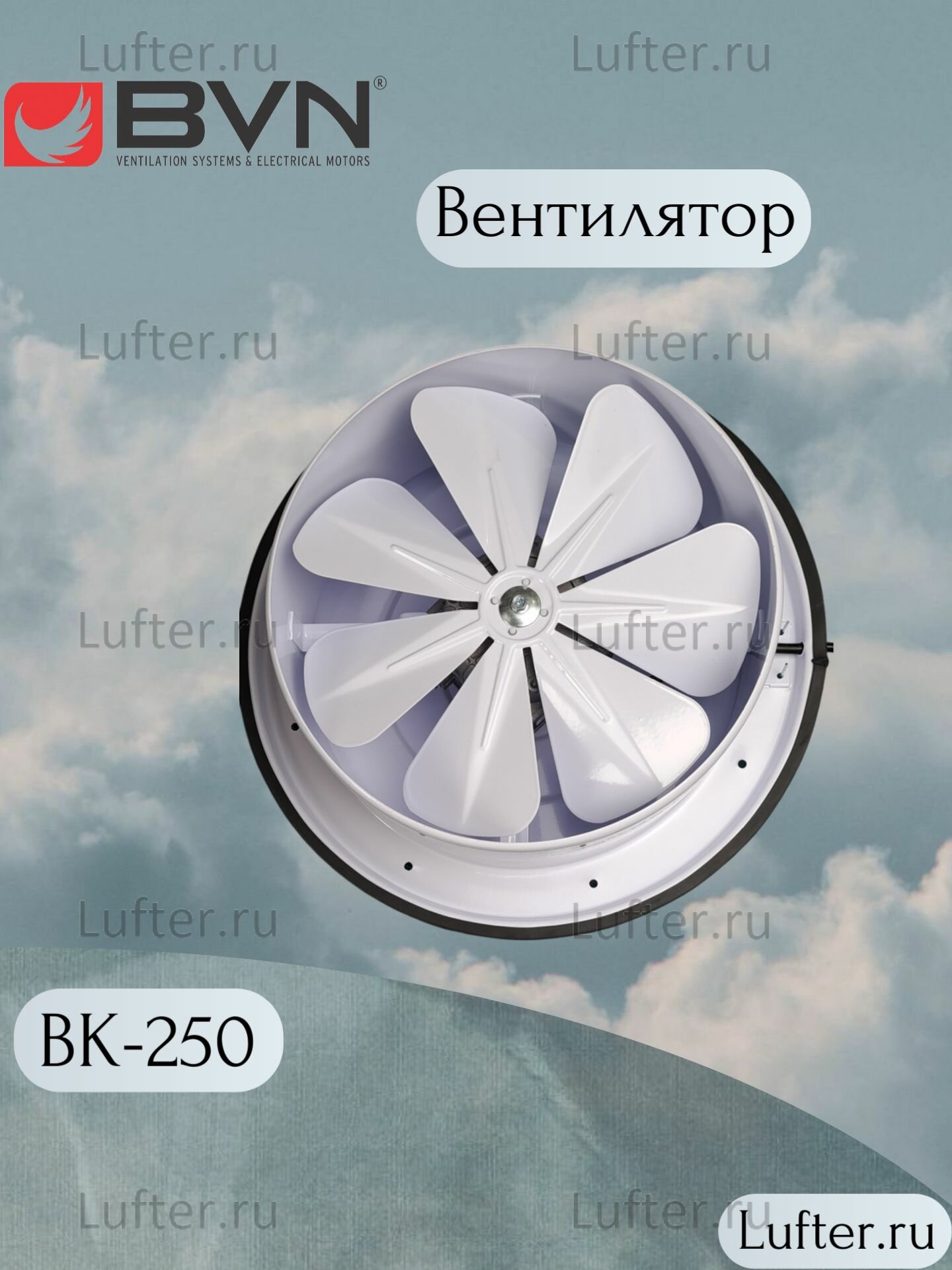 BK 250 Вентилятор вытяжной оконный осевой с крышкой (ВентЭл)