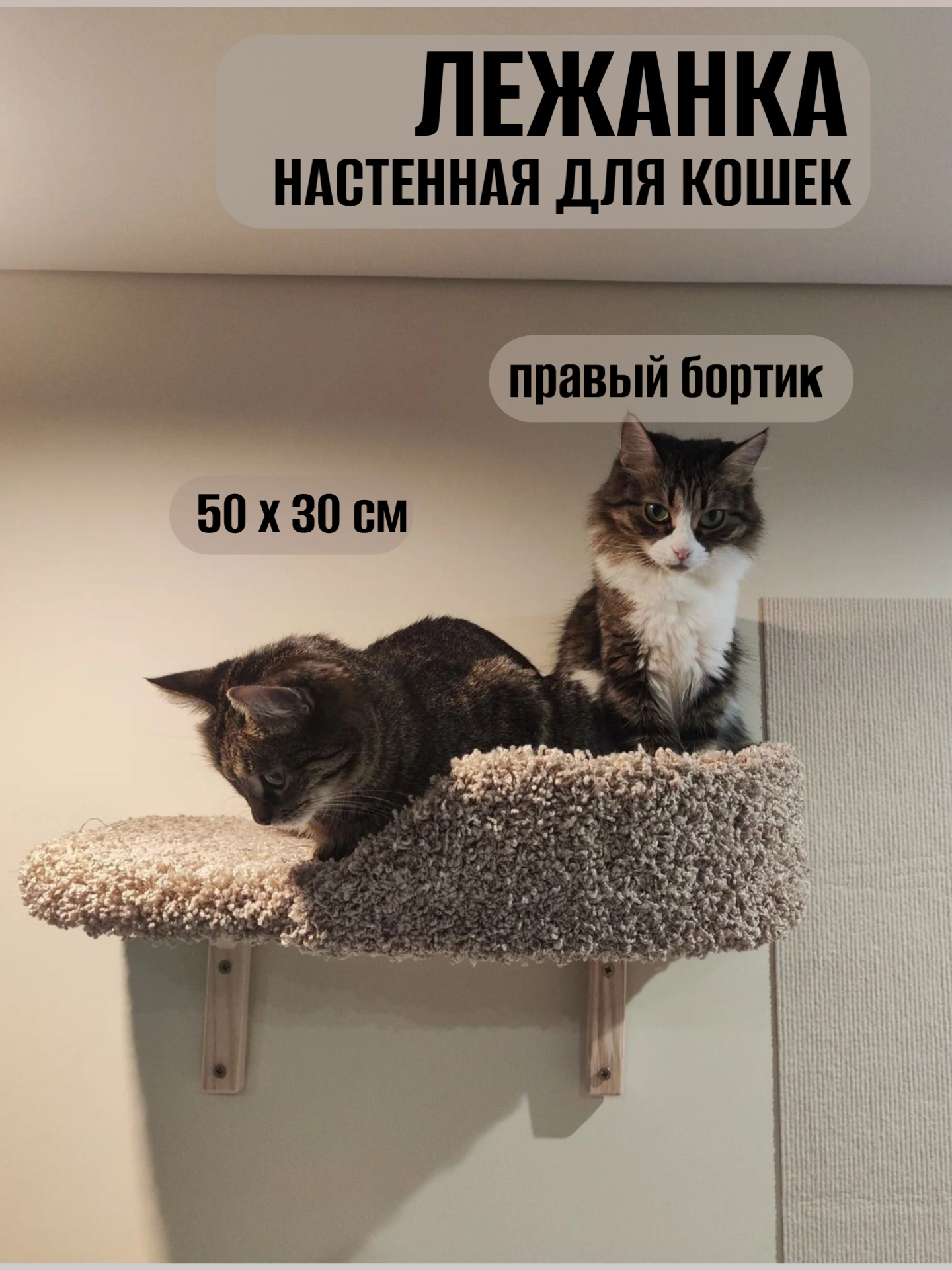 Лежанка для кошек, Моя Котя, настенная, с бортиком правосторонняя, цвет бежевый, ковролин