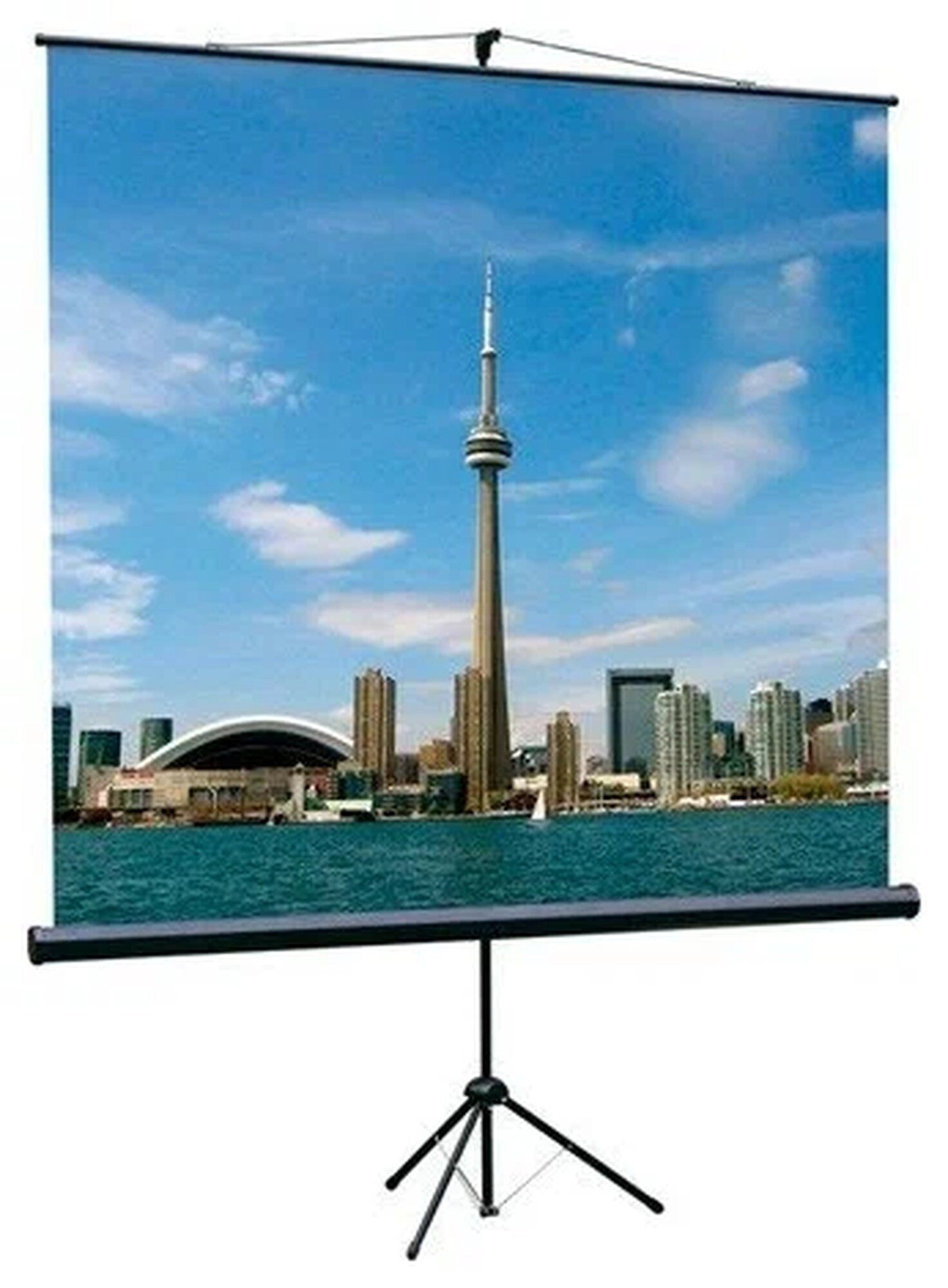 LUMIEN Экран на треноге LUMIEN LEV-100103 200x200см eco view 1:1 напольный рулонный