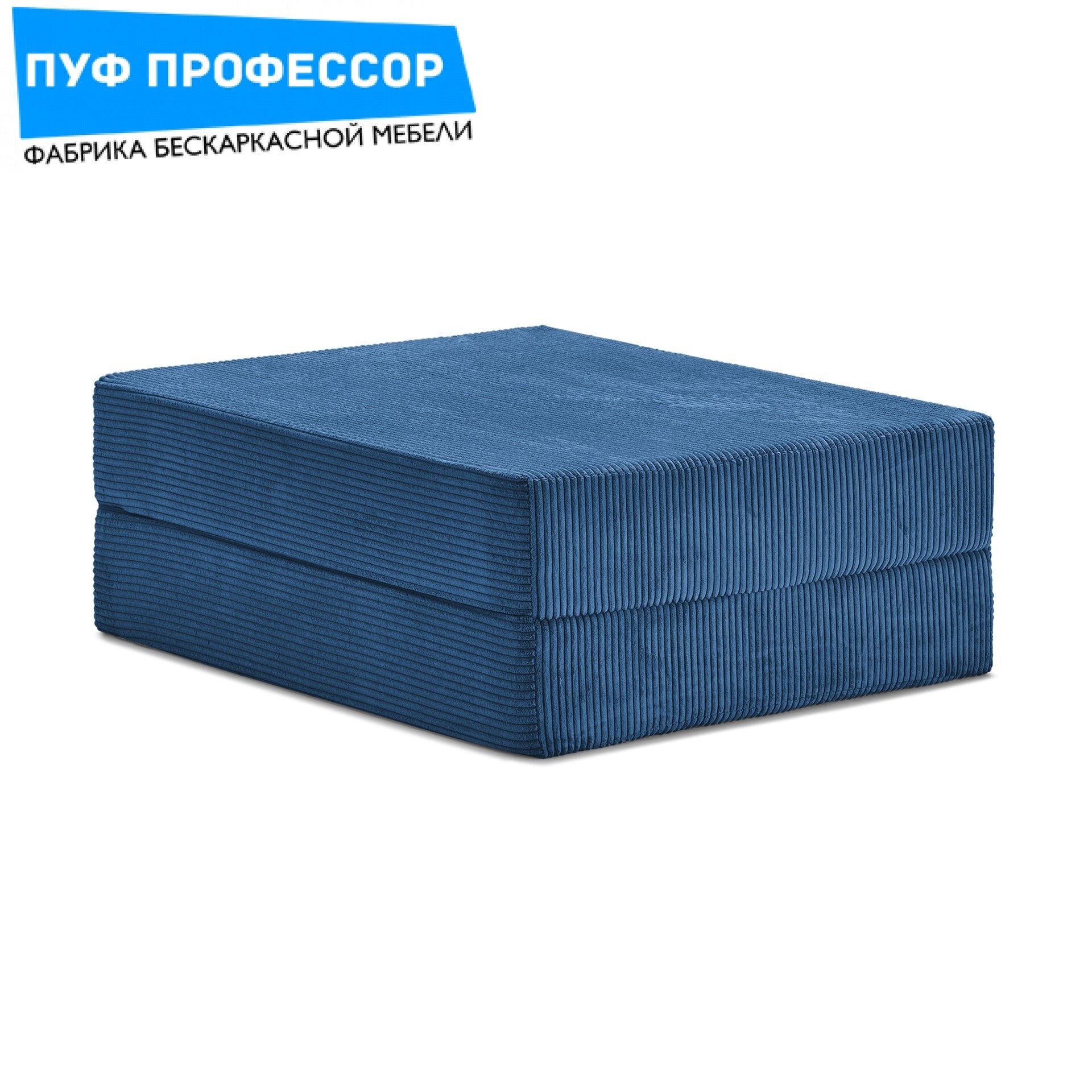 Пуф оттоманка Teddy Teddi Тедди Пуф Профессор PUFF-PROFESSOR Бескаркасный Синий 100 см