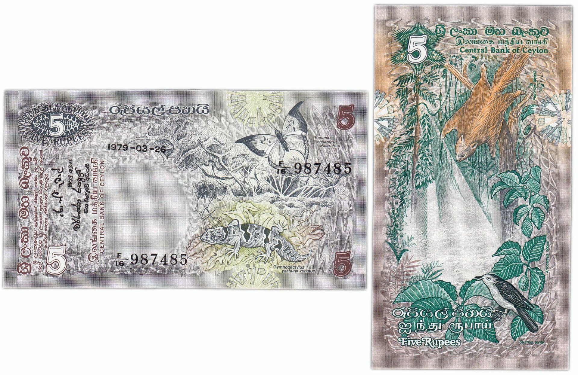 Шри-Ланка Цейлон 5 рупий 1979 Pick 84