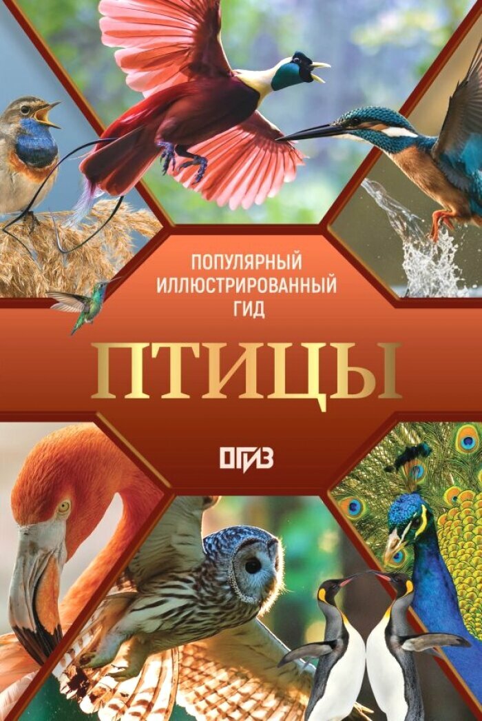 Птицы. Иллюстрированный гид