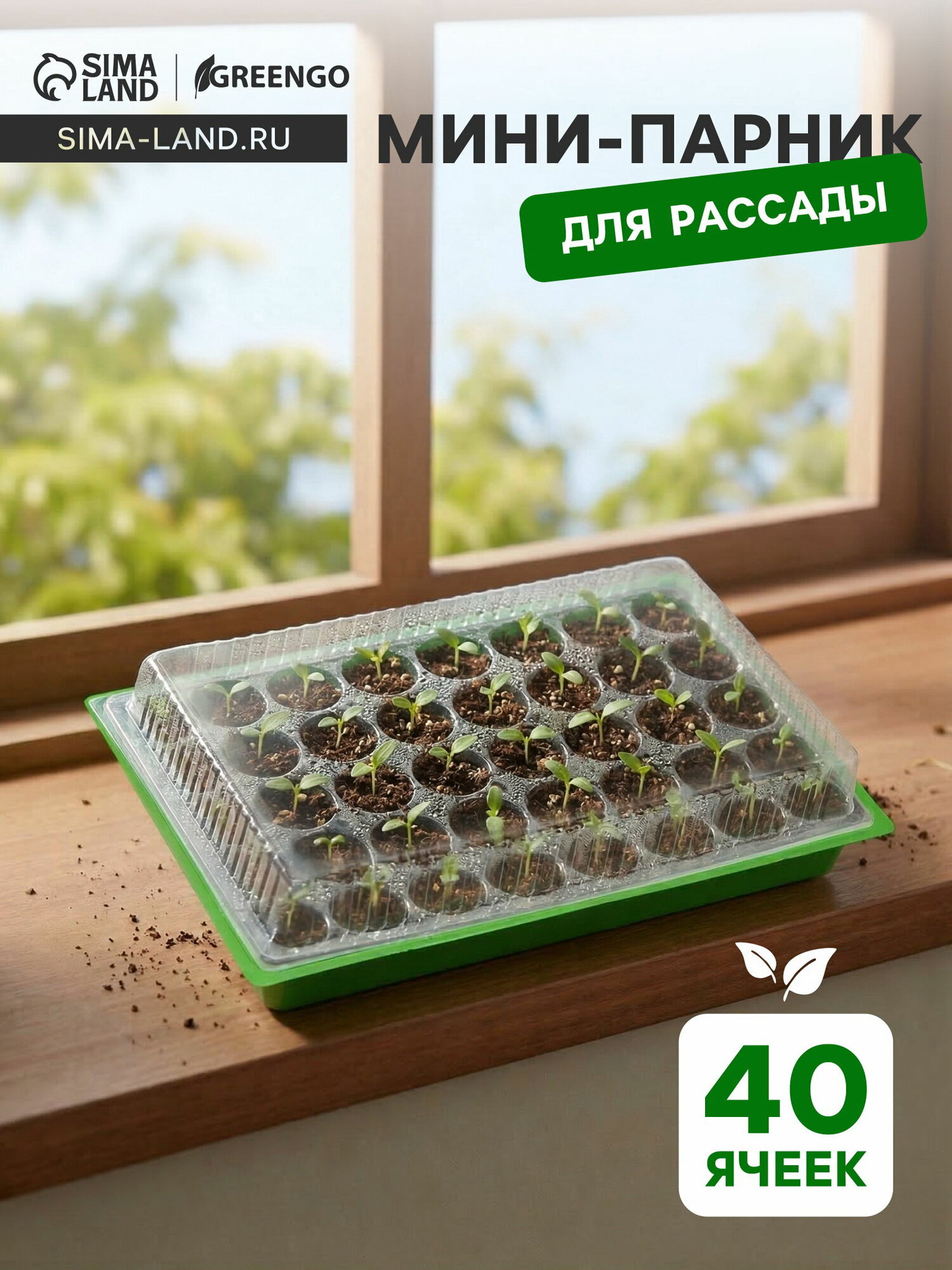 Мини-парник для рассады, 57x36x13.5 см, 1 вставка, 40 ячеек, цвет: зелёный, 3 шт.