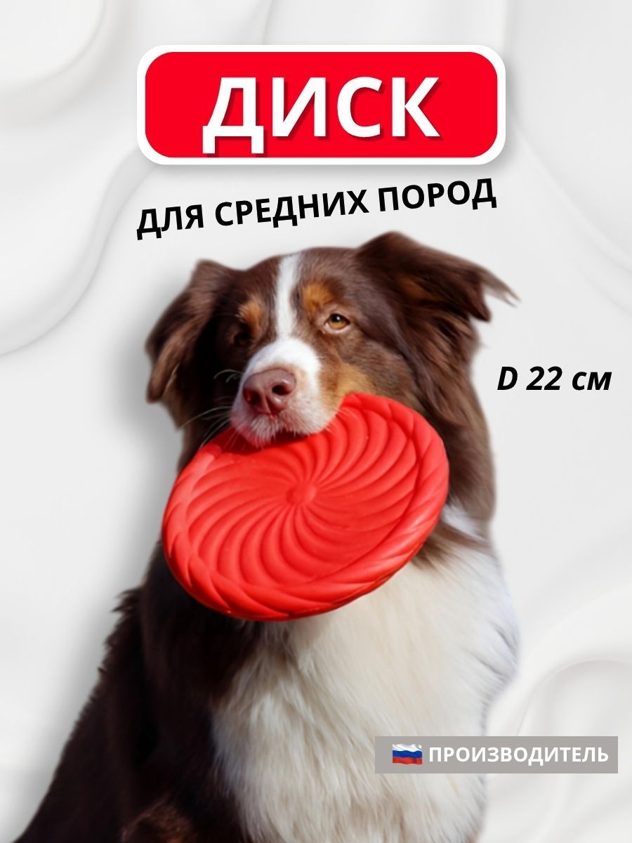 Фрисби для собак средних пород сибирский ПЁС диск красный 220мм