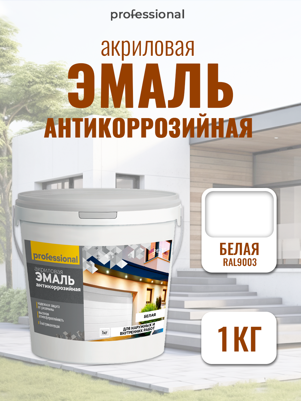 Эмаль акриловая антикоррозийная RAL9003 Белая (1кг) ТМ "Professional"