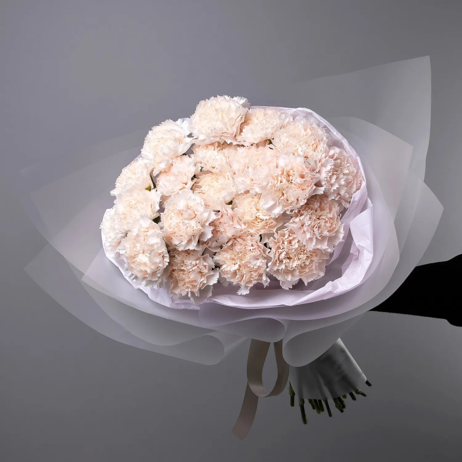 Букет Гвоздика "Брют" 17 шт Высота 60 см в коробке и аквабоксе от "Простоцветы"