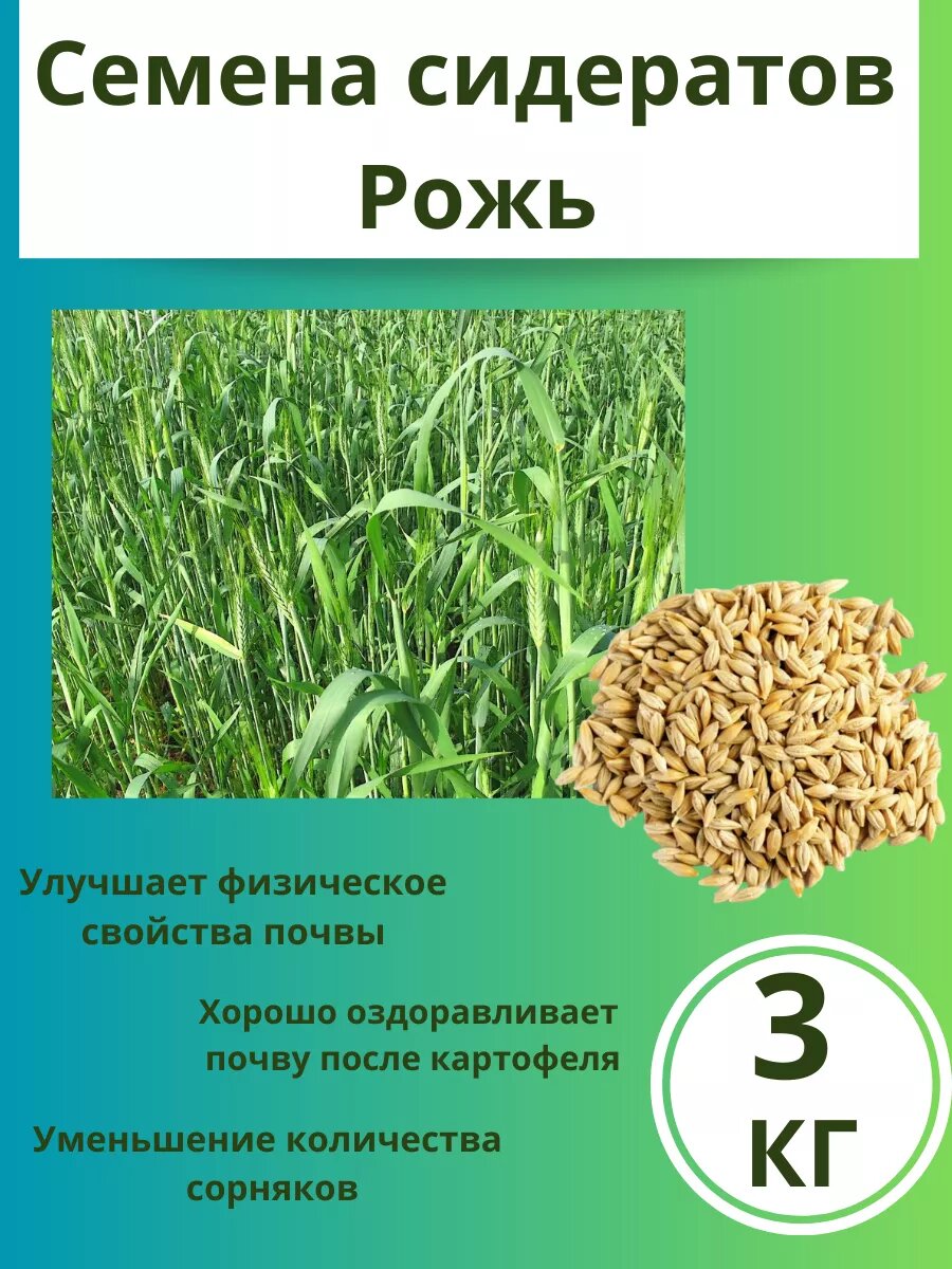 Cемена сидерата рожь 3 кг