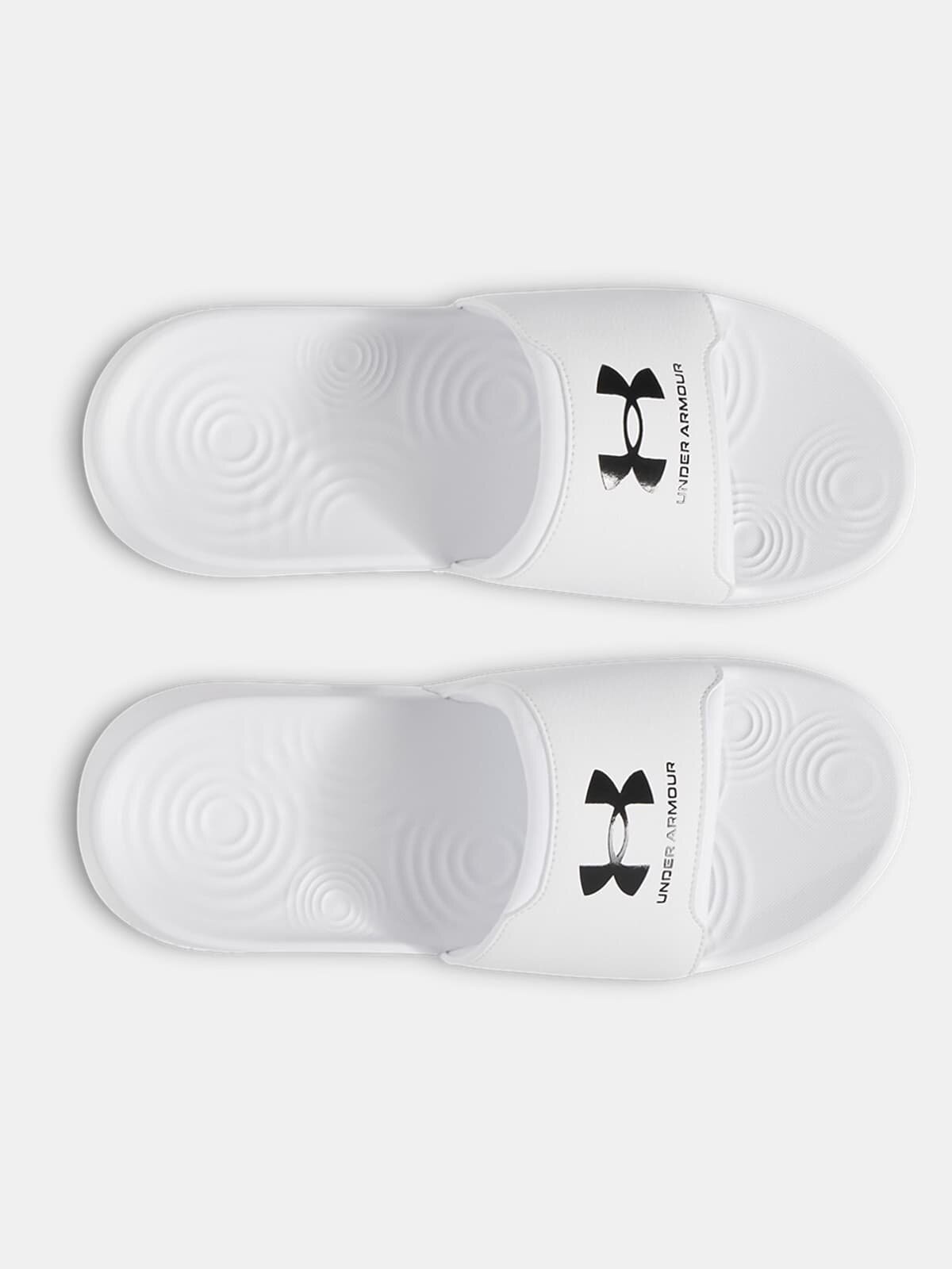 Сланцы Ignite Select