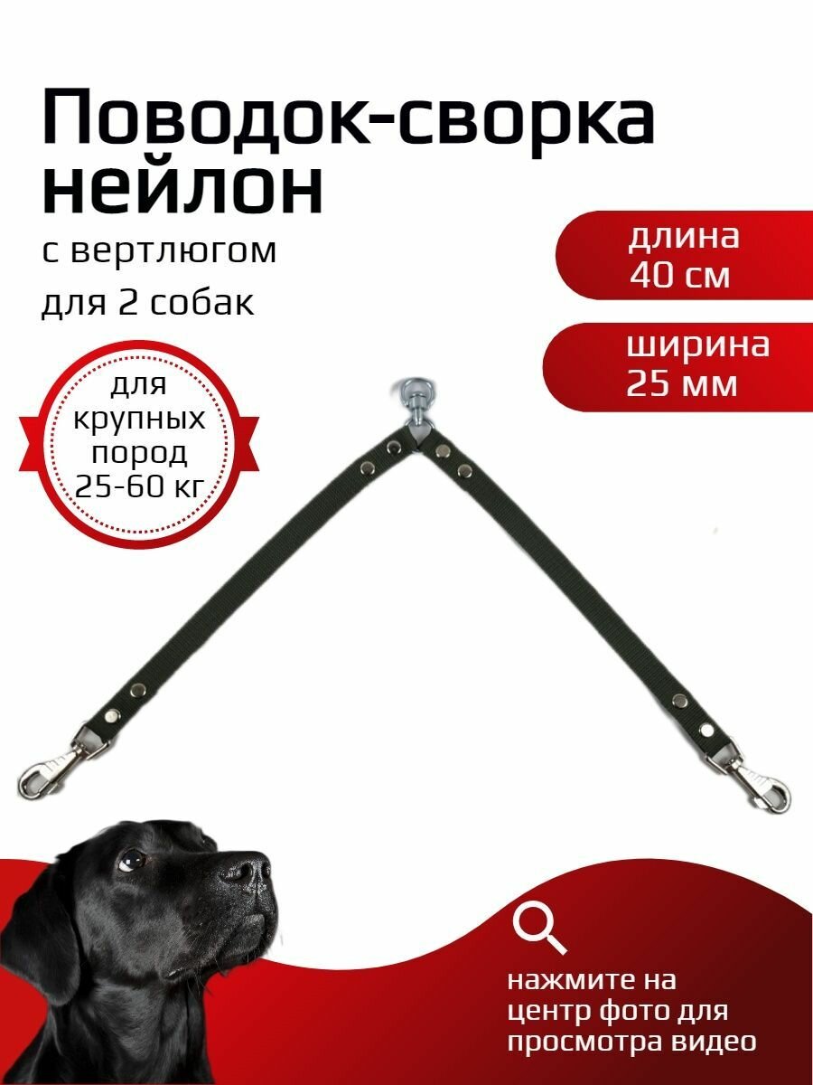 Поводок-сворка Хвостатыч для двух собак с вертлюгом нейлон 40 см х 25 мм (зеленый)