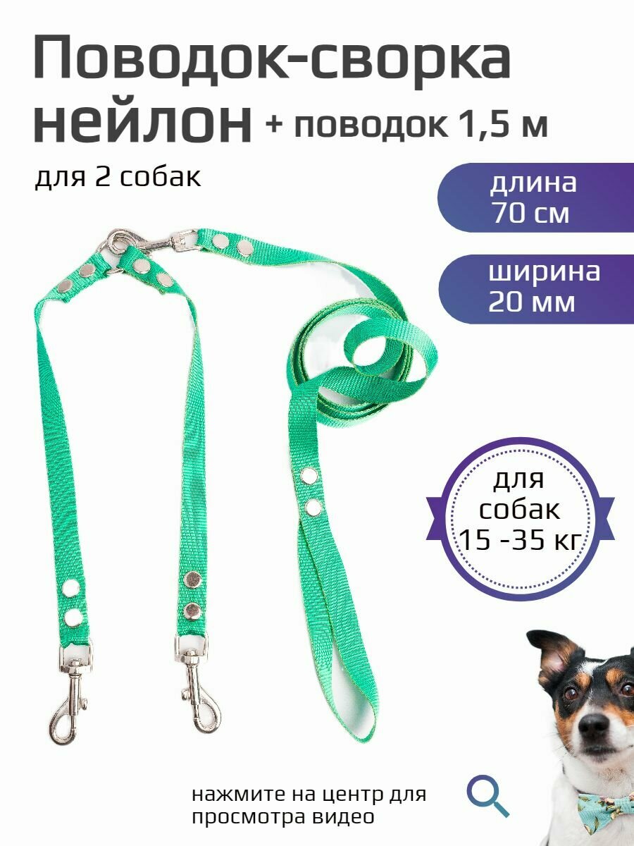 Сворка Хвостатыч для двух собак нейлон 70 см х 20 мм с поводком 1,5 м (бирюзовый)