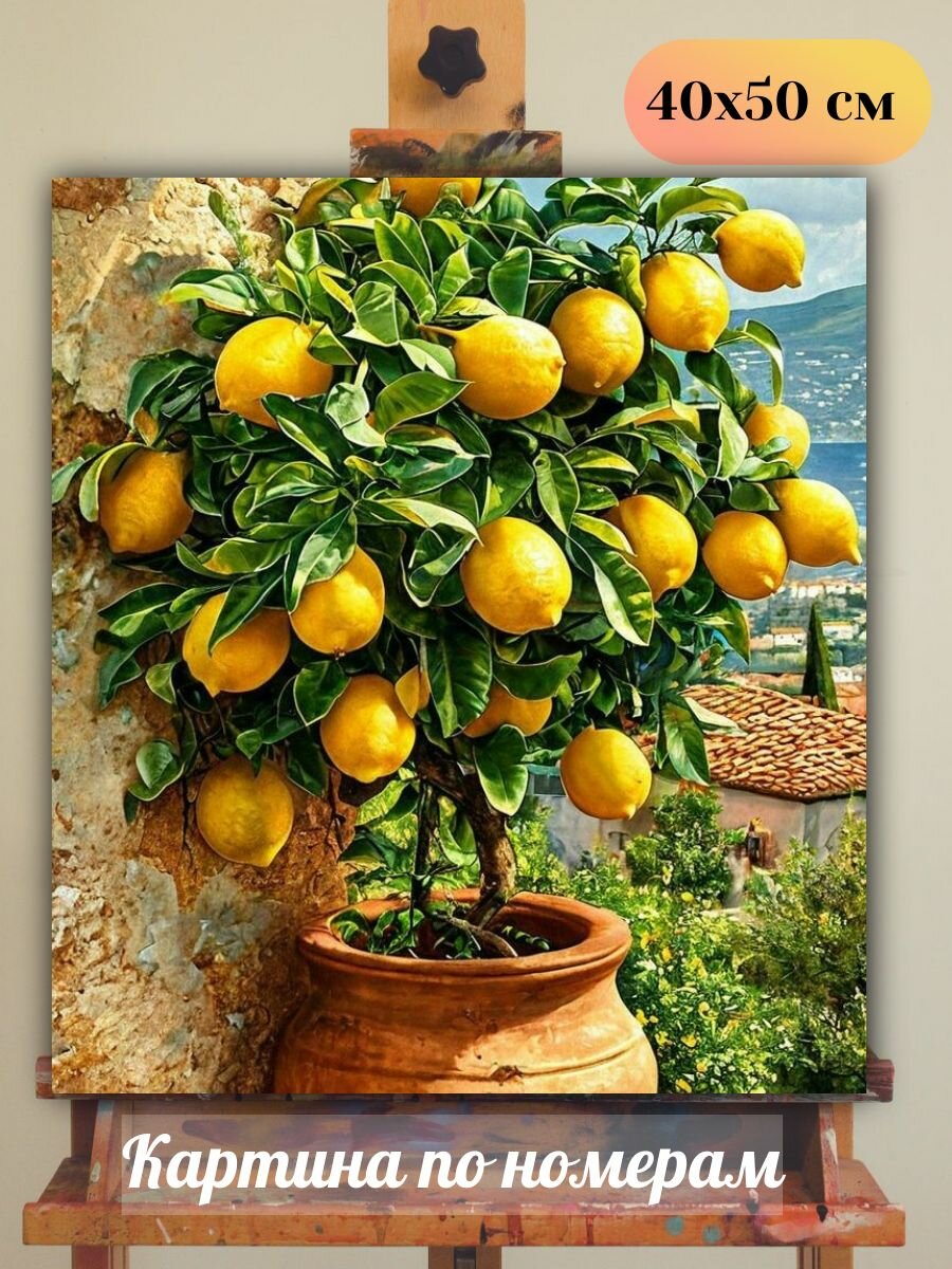 Картина по номерам на подрамнике 40х50 см Лимоны с максимальной красочной детализацией