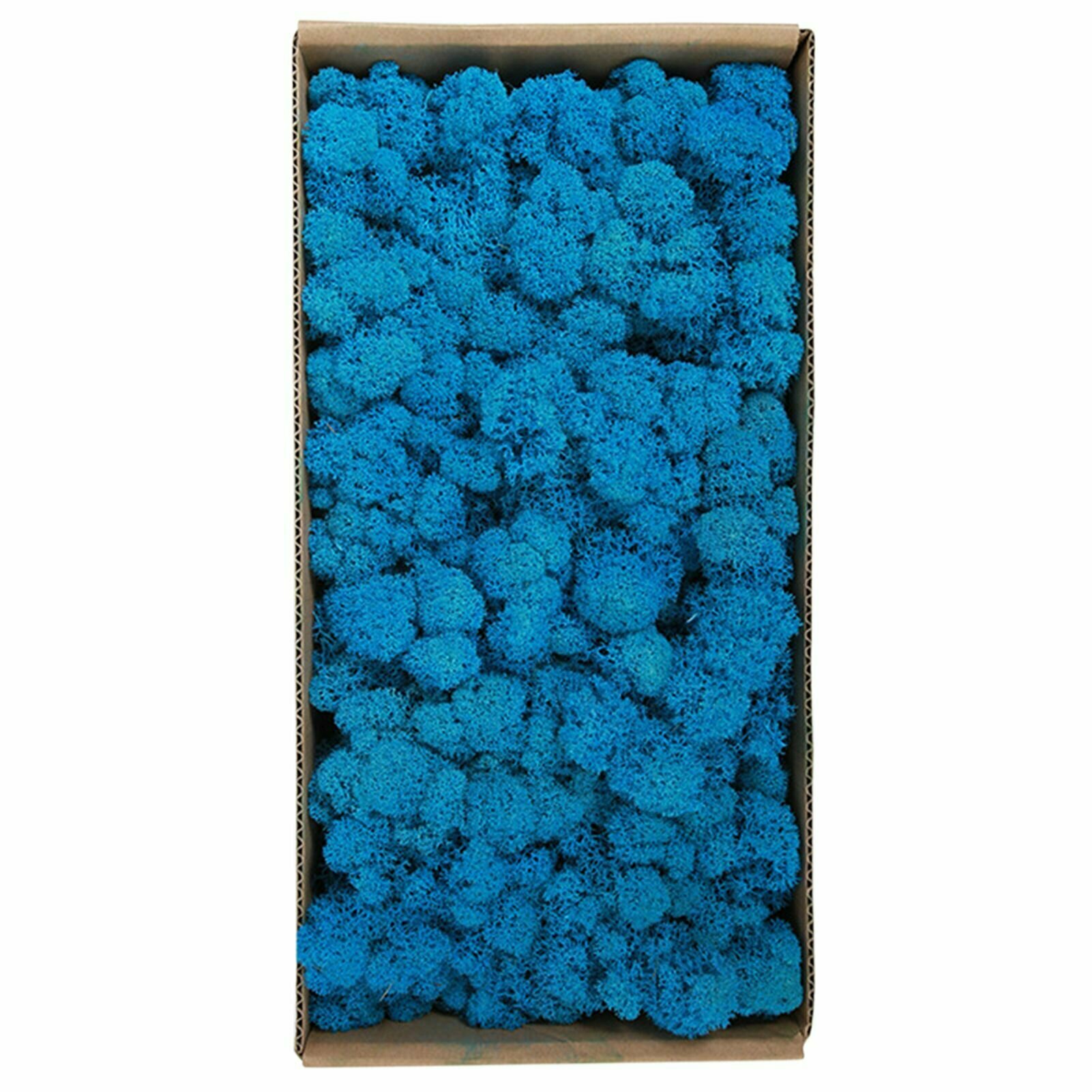 Настенный декор из стабилизированного мха Настоящий стабилизированный мох, не требующий ухода