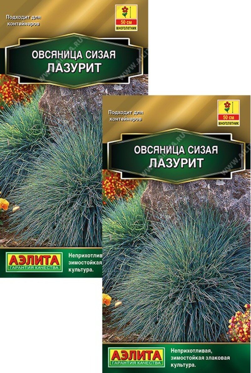 Семена Овсяница сизая Лазурит (5 семян), 2 пакета, Агрофирма Аэлита