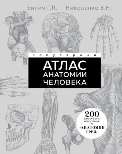 Популярный атлас анатомии человека. 200 классических иллюстраций из «Анатомии Грея» [Цифровая книга]