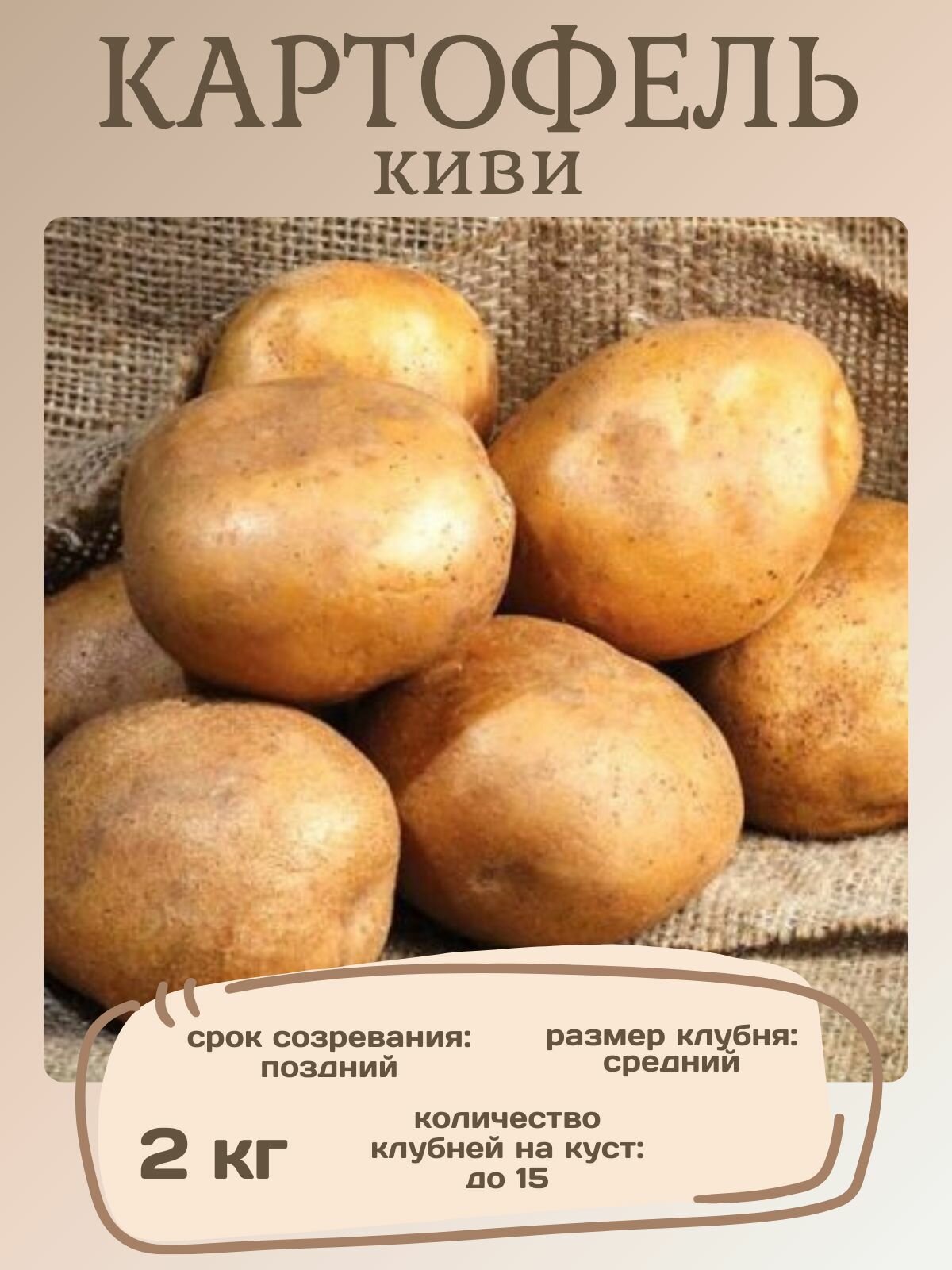 Картофель семенной 2 кг, на посадку