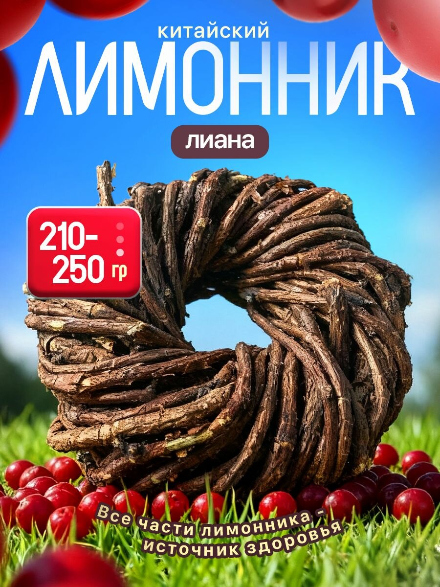 Лоза лимонника, лиана дальневосточного китайского лимонника, 250-300 грамм