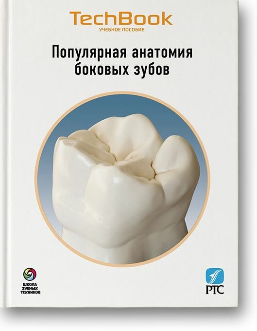 Популярная анатомия боковых зубов
