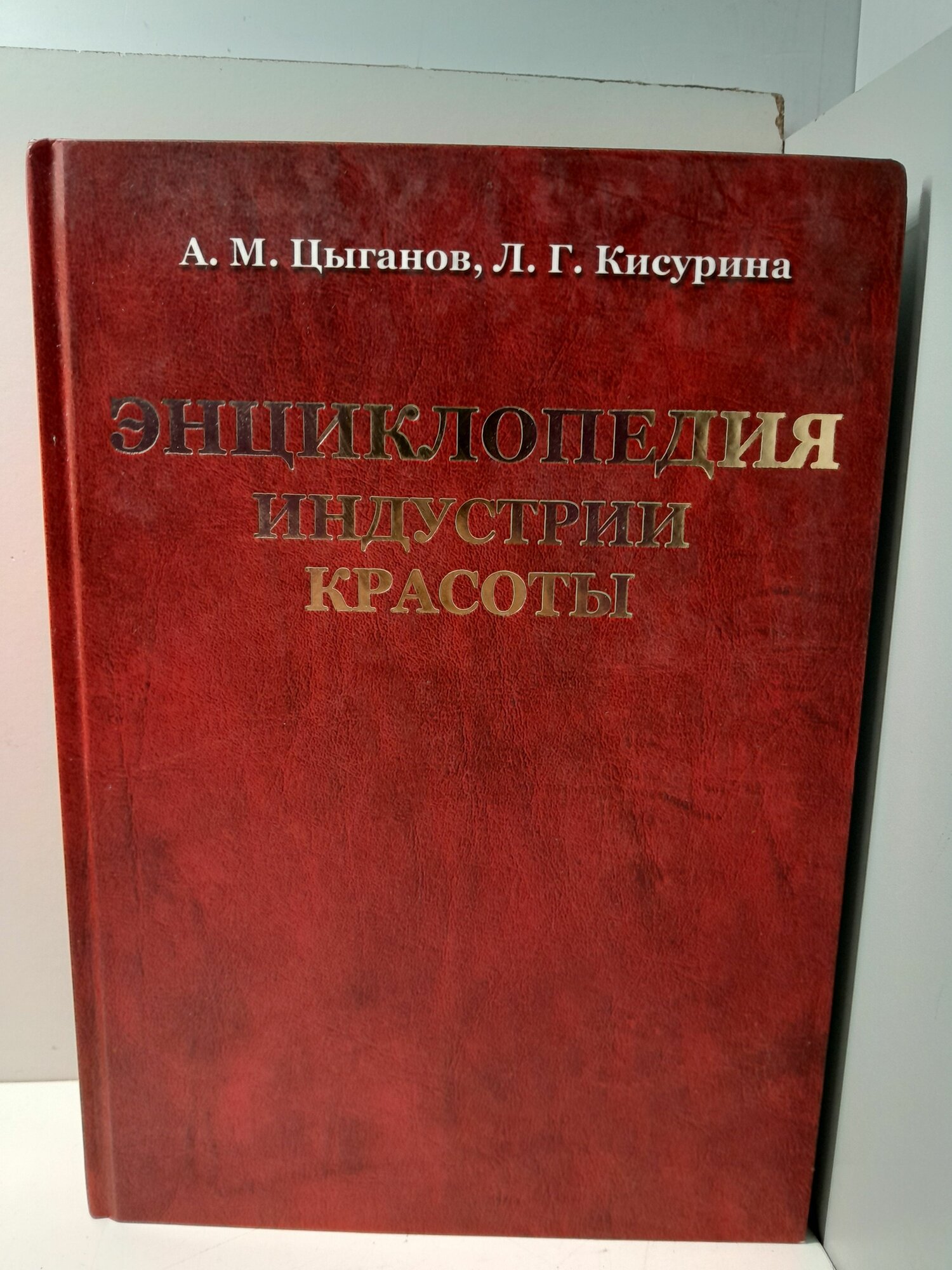 Энциклопедия индустрии красоты / А. М. Цыганов, Л. Г. Кисурина