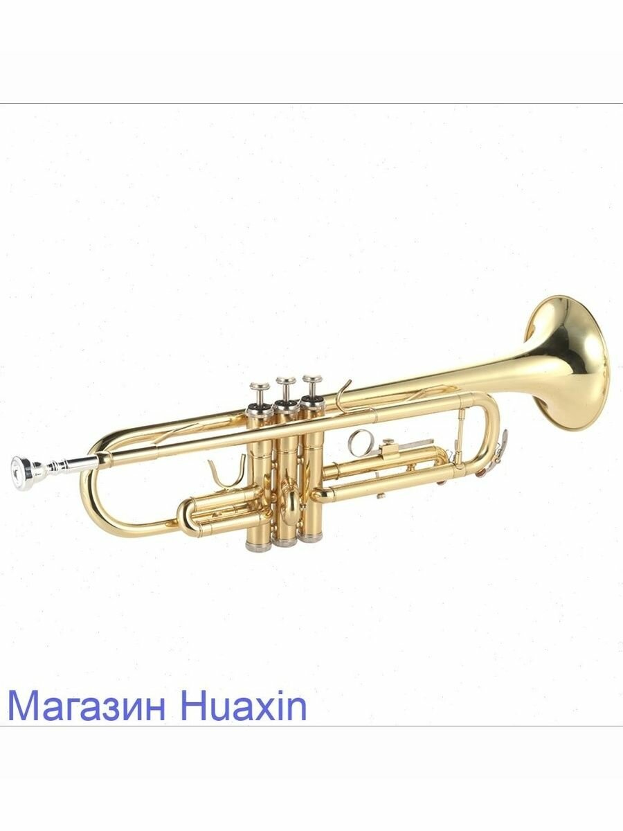Труба си-бемоль Латунь, лакированная золотом