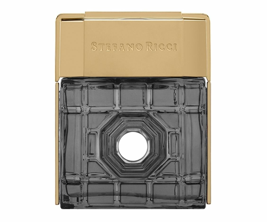 Парфюмерная вода Stefano Ricci Ricci Dubai 100 мл