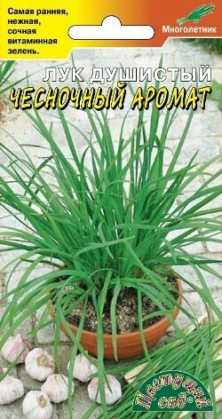 Семена Лука сорт Чесночный аромат