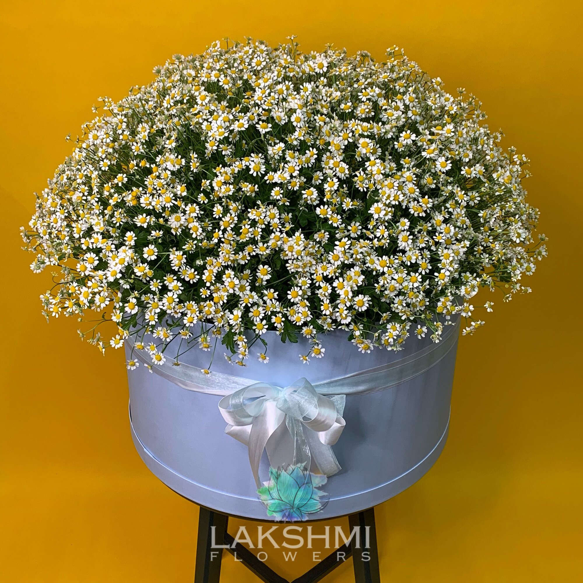 101 ромашка / Композиция из 101 кустовой ромашки в шляпной коробке