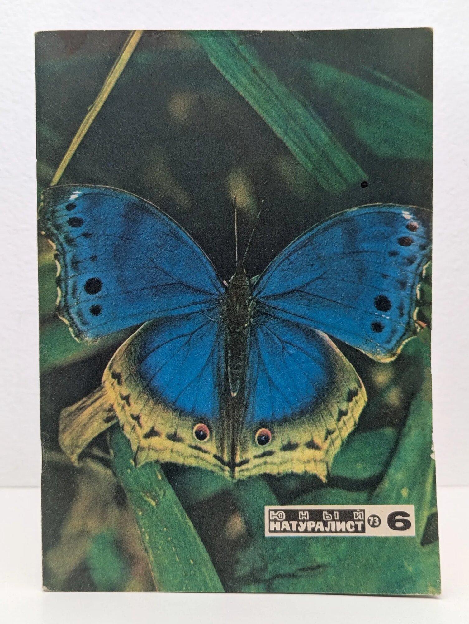 Юный натуралист. Выпуск № 6/1973 Сборник 1973