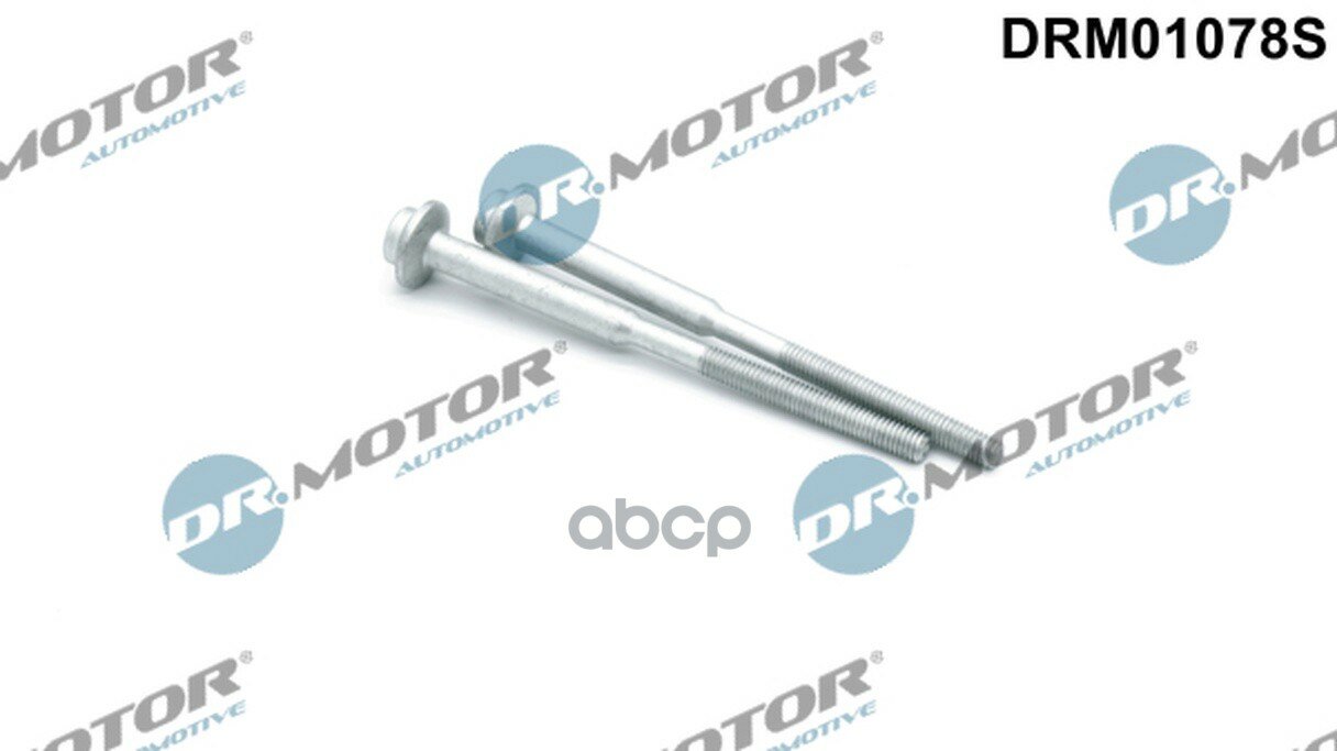 Болт крепления форсунки WHT004739 VW 2.0D 2 штуки в комплекте DRM01078S-DrMotor/WHT004739 WHT004739 Dr. Motor арт. DRM01078S