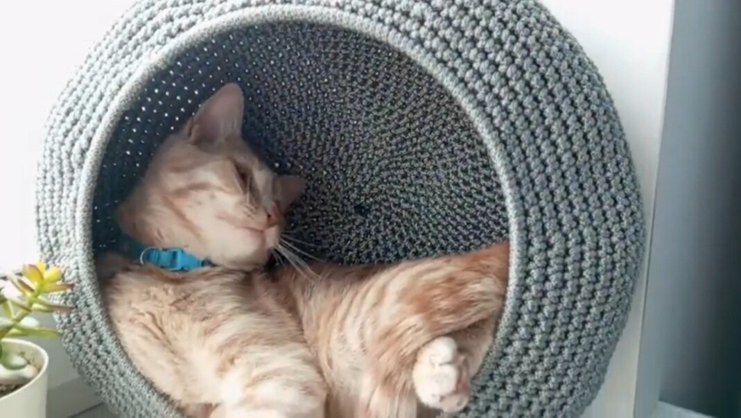 Лежанка для кота "гнездо", вязанная, полипропиленовый шнур, диаметр 25 см