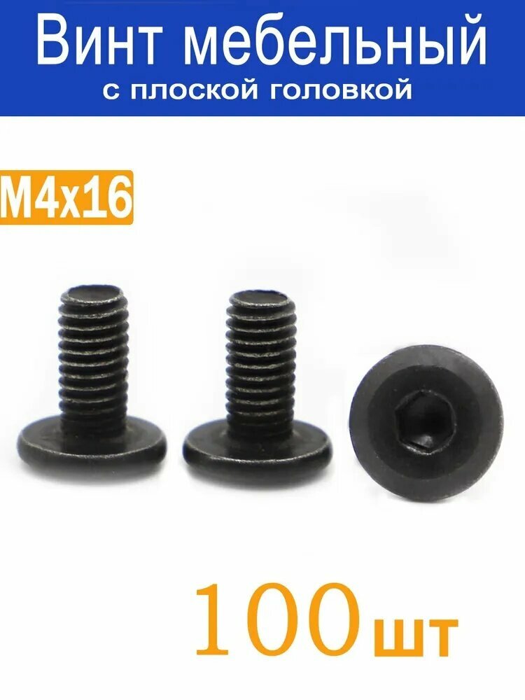 Винт M4 x 4 x 16 мм, головка: Плоская, 100 шт.