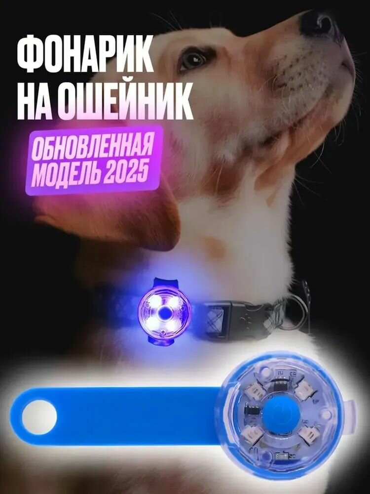 Фонарик для собак на ошейник. Светящийся брелок для собак
