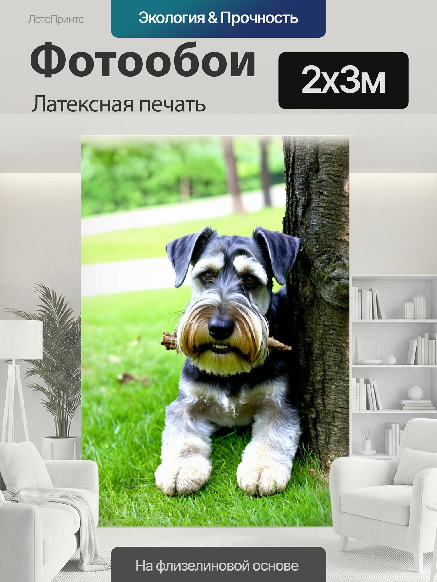 Фотообои моющиеся ударопрочные "Собака шнауцер, держащая в зубах палку, выглядывающая из-за дерева в парке" 200x300 см. латексная печать