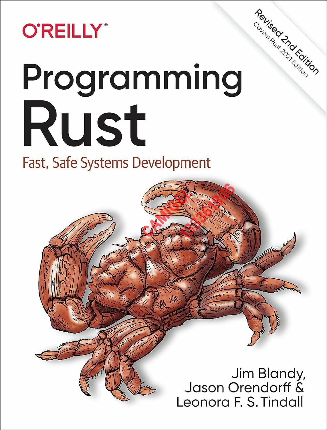 Programming Rust: Fast, Safe Systems Development Reprinted books