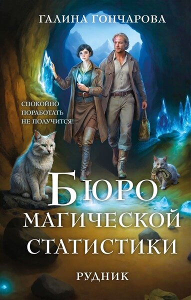Гончарова Г. Д. Бюро магической статистики. Рудник (Бюро магической статистики #1)
