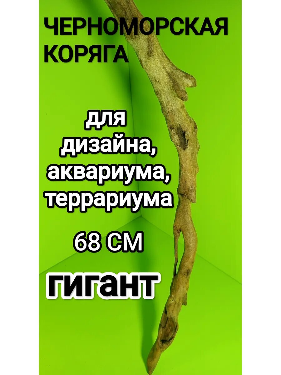 Коряга натуральная Черноморская для террариума, дизайна, опо