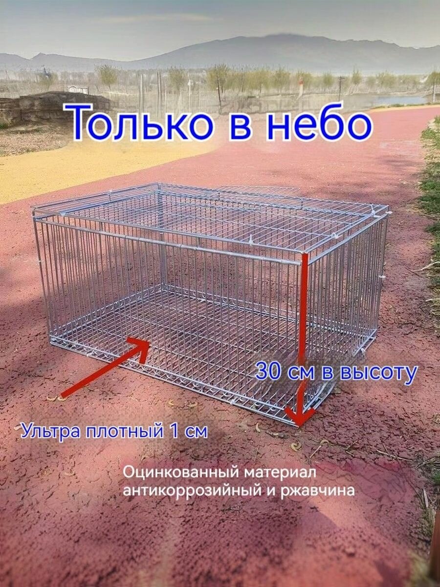 Улучшенная ловушка-захватчик для голубей и малых животных с гальванизированным корпусом и ультрадENSE сеткой