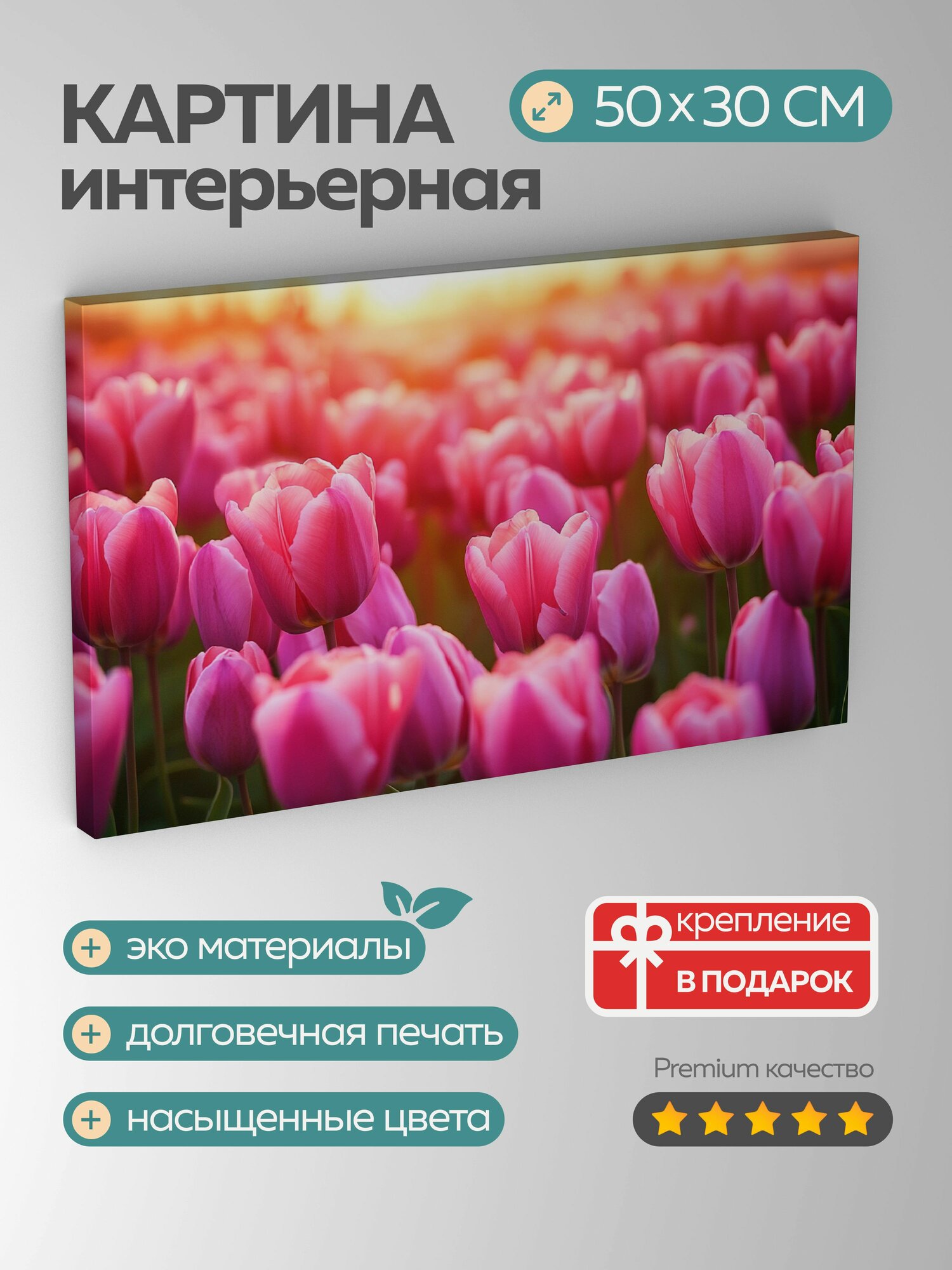 Картина на холсте интерьерная 50х30 см, тюльпаны, розовые, поле, солнце, свет, природа, красота, эйфория, лепестки, фон
