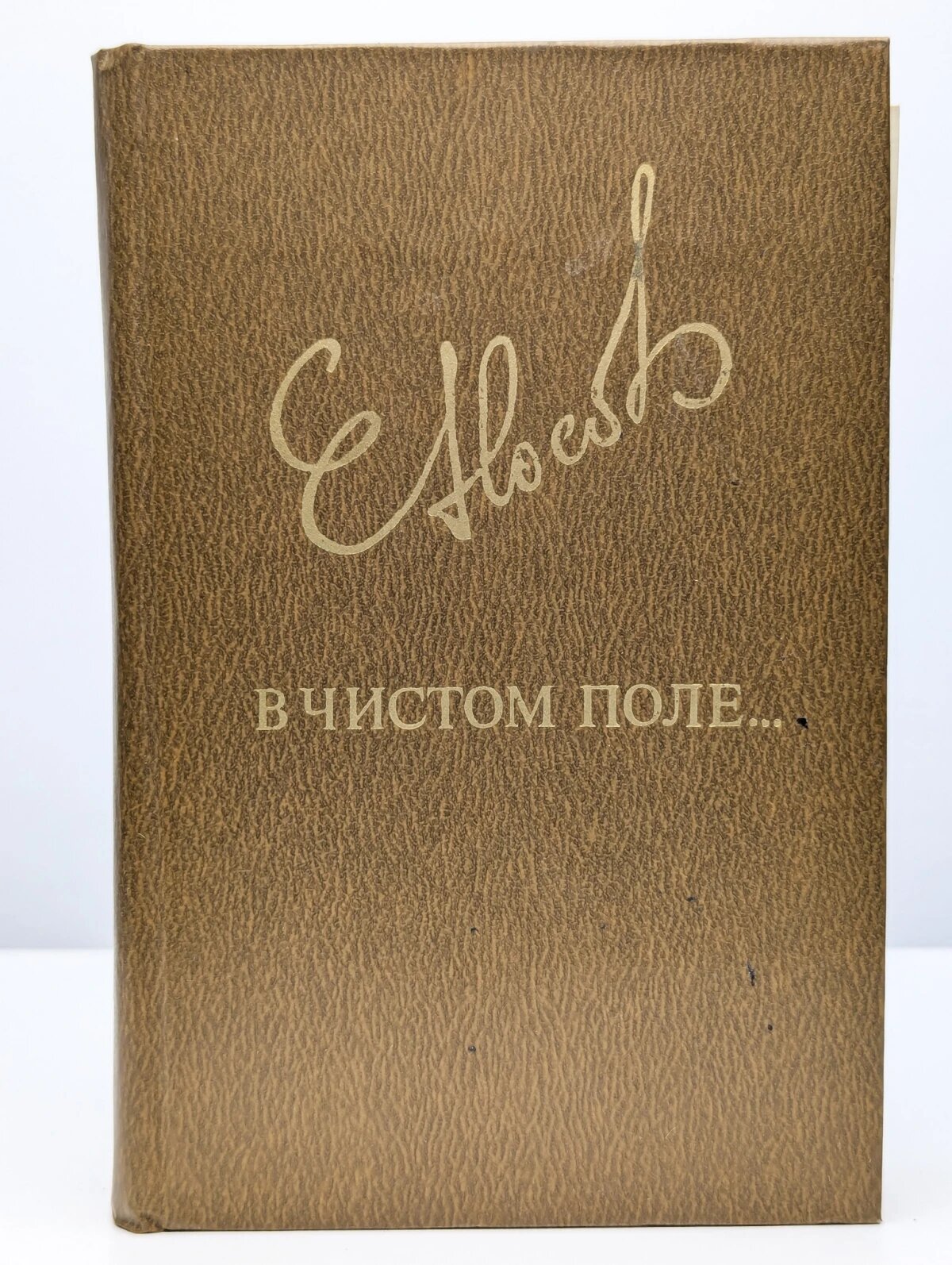 В чистом поле.