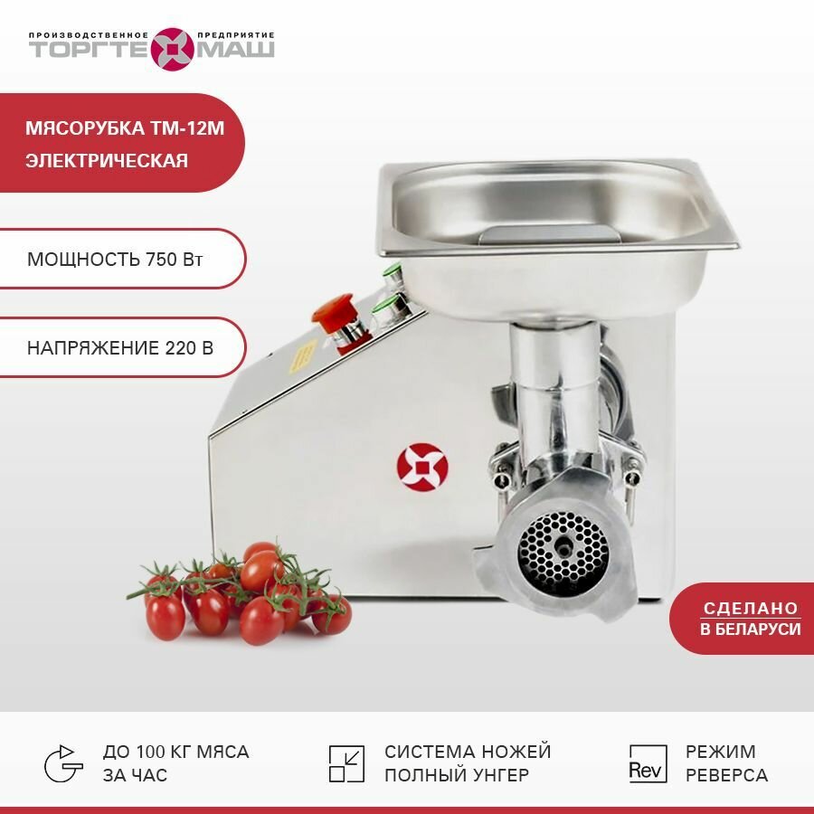 Мясорубка электрическая Торгтехмаш ТМ-12М, электромясорубка, реверс, техника для кухни