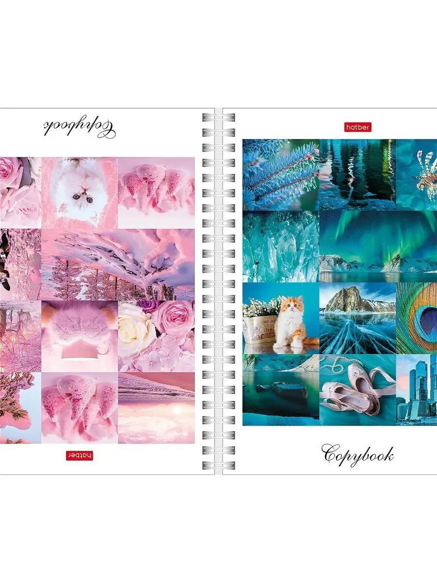 Тетрадь Hatber "Краски Дня", А5, в клетку, на спирали, твердая обложка, 80 листов