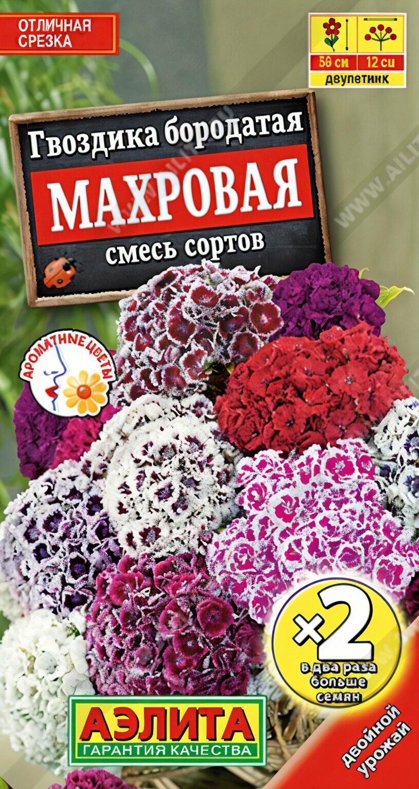 Семена Гвоздика турецкая махровая смесь окрасок (0,2 г), Агрофирма Аэлита
