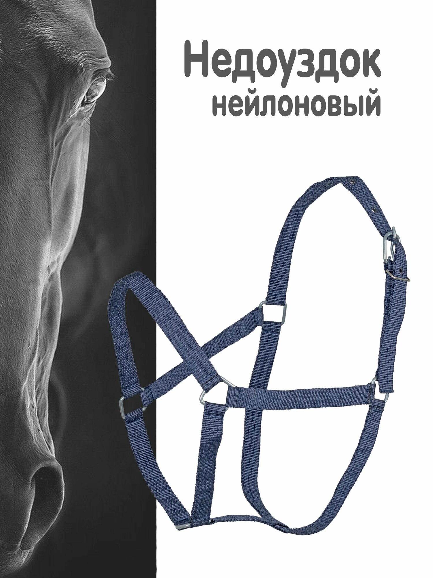 Недоуздок Reiter, для управления лошадью, нейлон, ширина 25мм