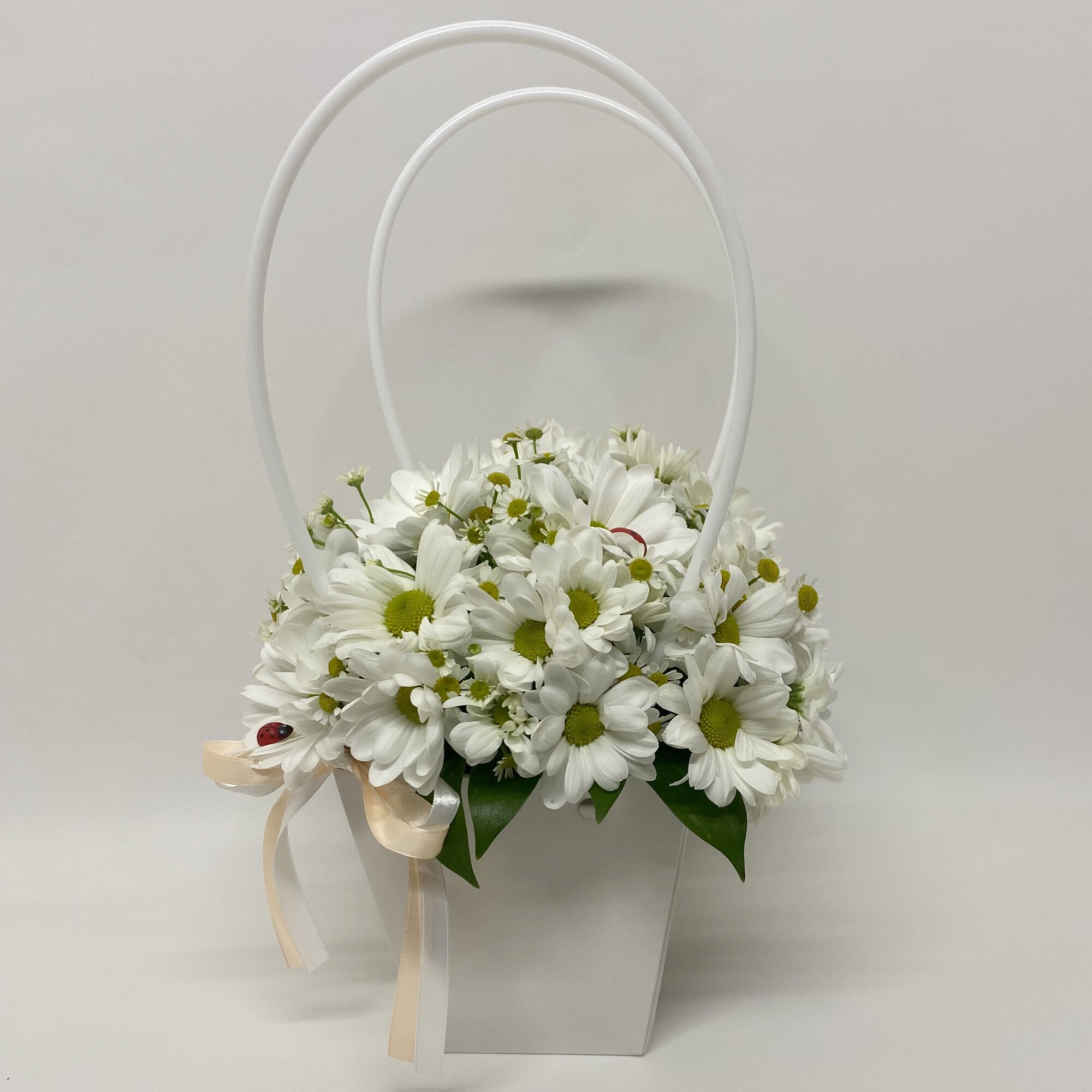 Ромашки для Наташки