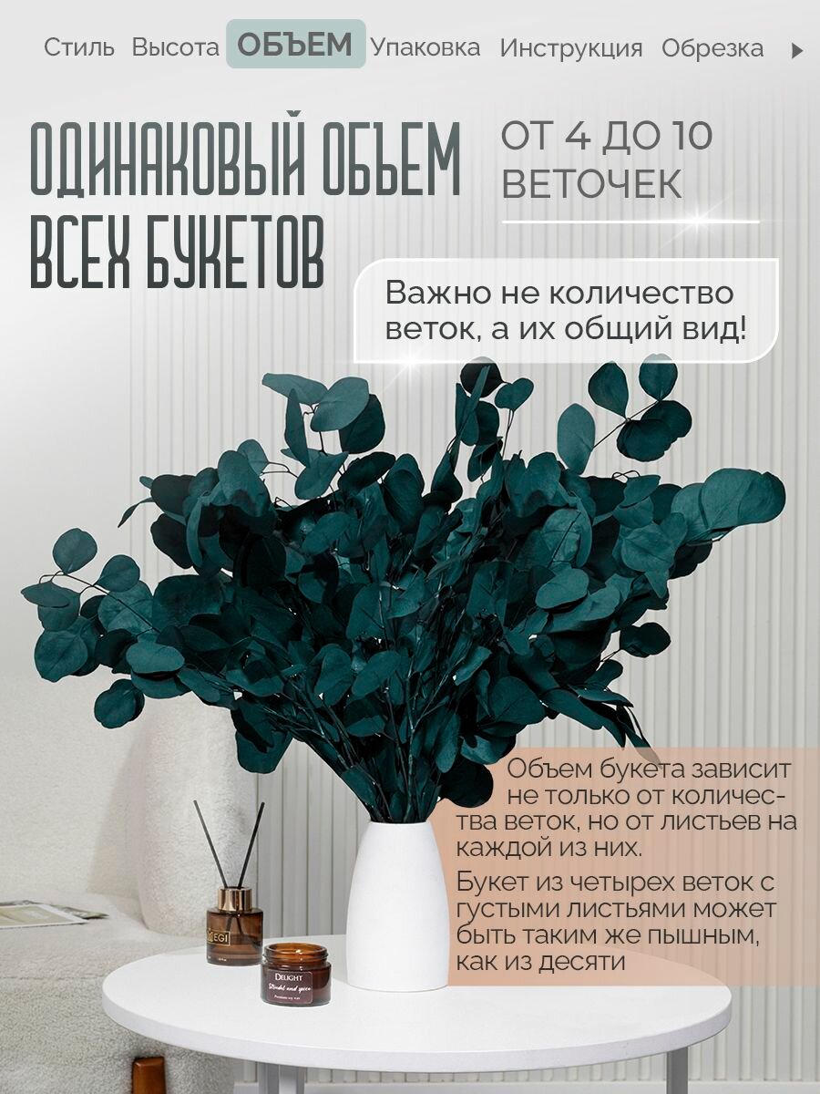 Сухоцветы — фото 1
