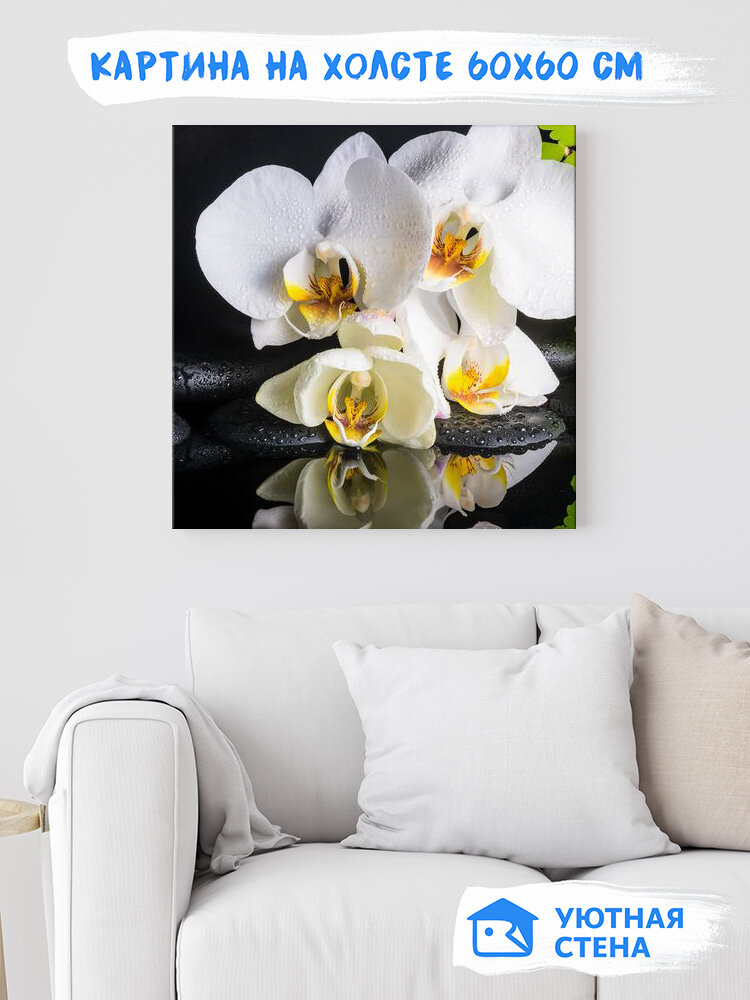 Картина на натуральном холсте Уютная стена "Прекрасные белы орхидеи крупным планом" 60х60 см
