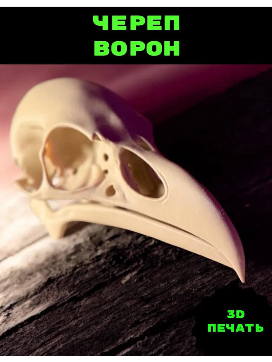 Фигурка Череп Ворон цвет кость 3D печать динозавр готическая
