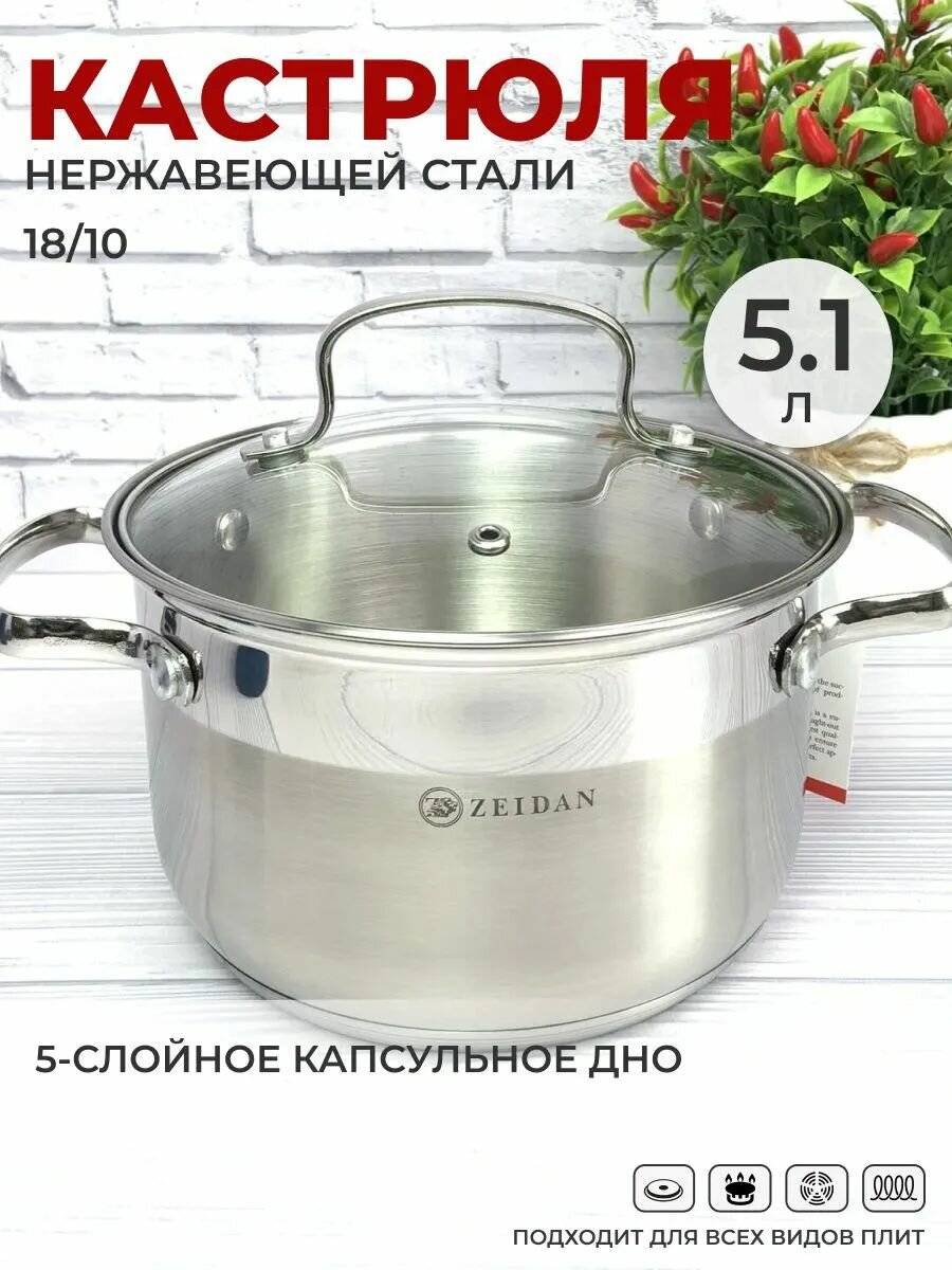 Кастрюля из нержавеющей стали со стеклянной крышкой Zeidan 5 л/22 см для всех видов плит включая индукционную