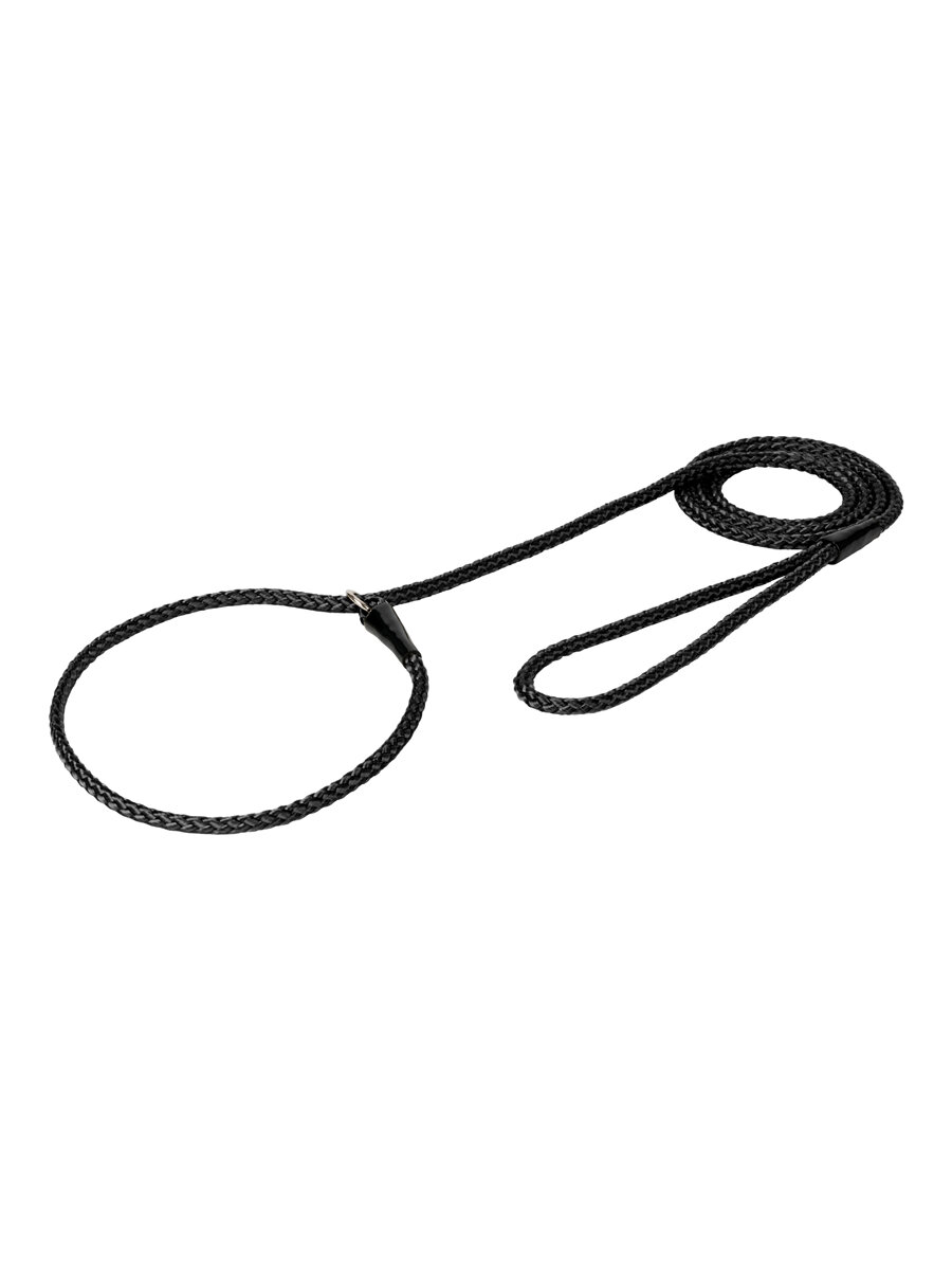 Поводок-удавка для собак средних и крупных пород с кольцом "нейлоновый канат" ширина 6 мм, длина 170 см, Zoo One, чёрный