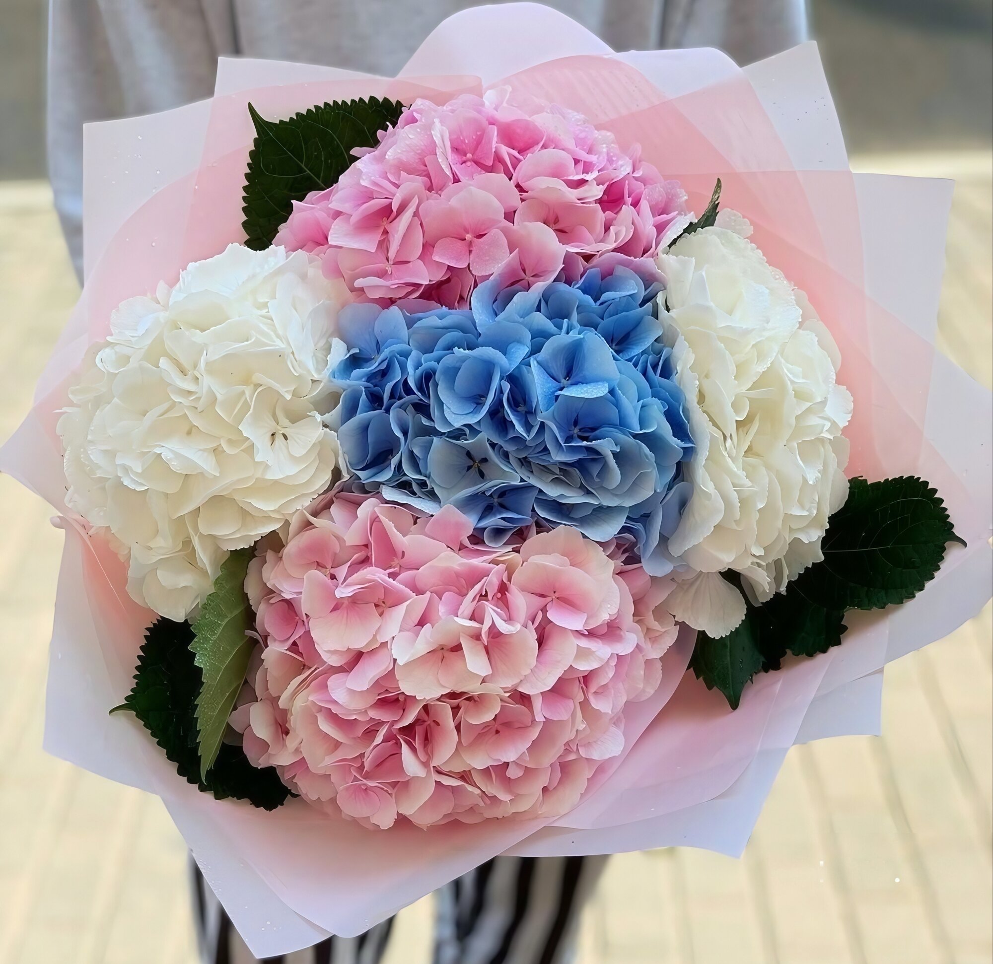 Букет из гортензий 5 шт, красивый букет цветов, шикарный, премиум цветы, премиум букет