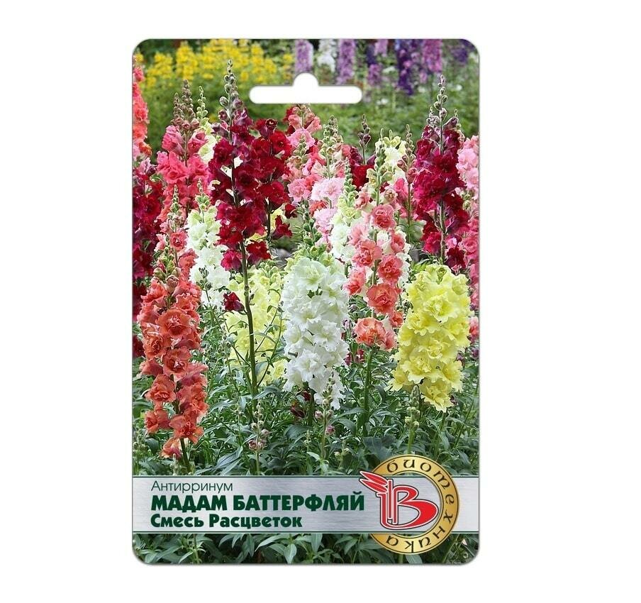 Семена Антирринум Мадам Баттерфляй смесь расцветок АГ Биотехника